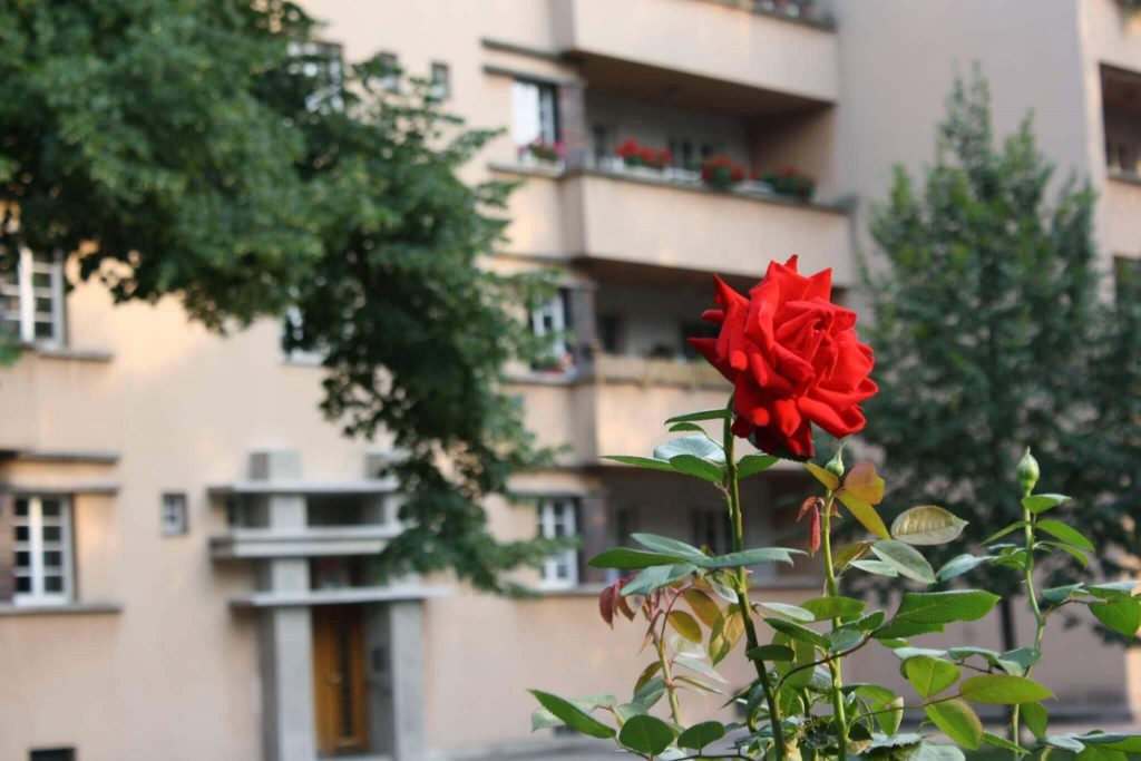 Wohnen: Eine Frage der Leistbarkeit