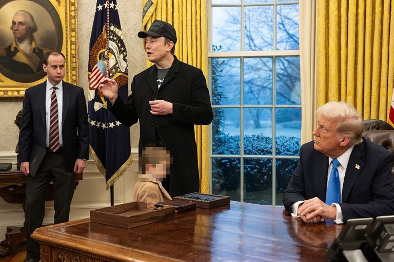 "Reichster Mensch": Grafik zeigt Vermögen von Elon Musk